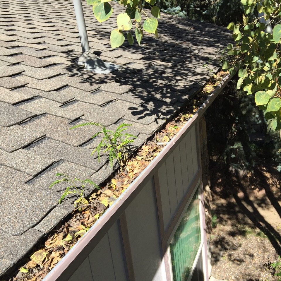 Why Gutter Helmet Gutter Guards - Colorado Springs